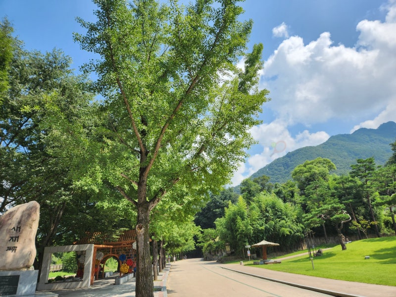 계곡과 숲이 함께 있는 문경새재주차장 요금 코스 주막 전동차 네이버 블로그
