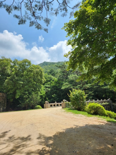 계곡과 숲이 함께 있는 문경새재주차장 요금 코스 주막 전동차 네이버 블로그