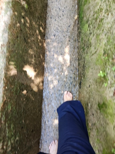 계곡과 숲이 함께 있는 문경새재주차장 요금 코스 주막 전동차 네이버 블로그
