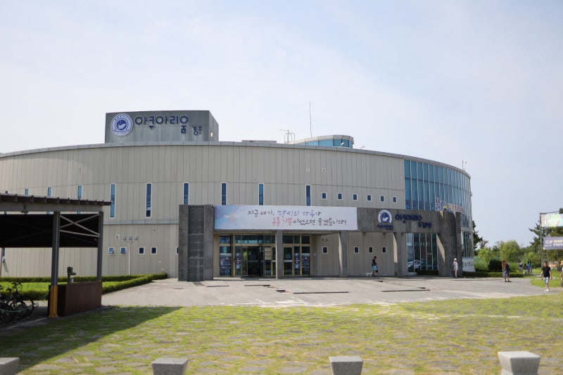 강릉 실내데이트 추천 아르떼뮤지엄 할인 영업시간 발권 방법 안내 네이버 블로그
