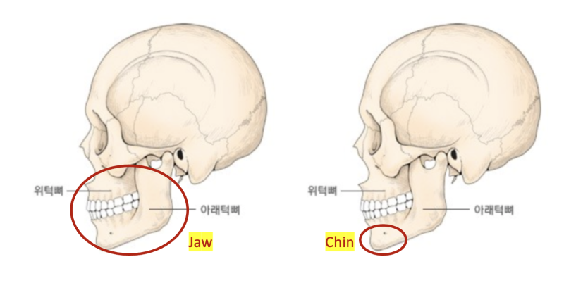 턱 영어로? jaw와 chin의 차이는? : 네이버 블로그