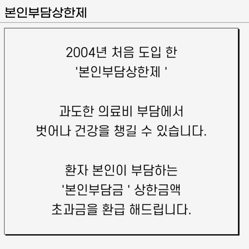 본인부담금 환급금 조회 신청 확인 2023 상한제사후환급금 상한액 초과금 국민건강보험공단 홈페이지 네이버 블로그