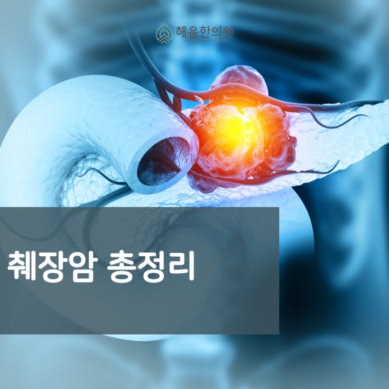 췌장암 등통증 위치 초기증상과 원인까지 알아봐요 네이버 블로그