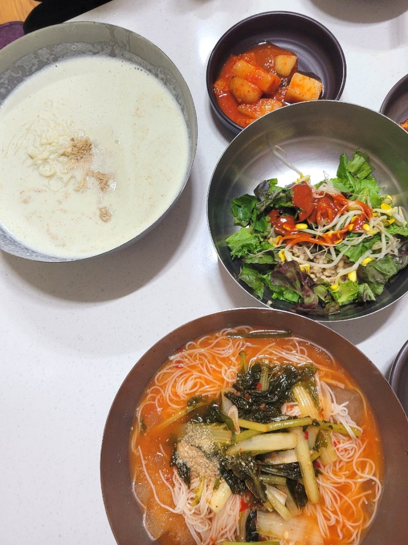 감자바위골 대전 문창시장 찐맛집 추천감자전 열무국수 콩국수 네이버 블로그