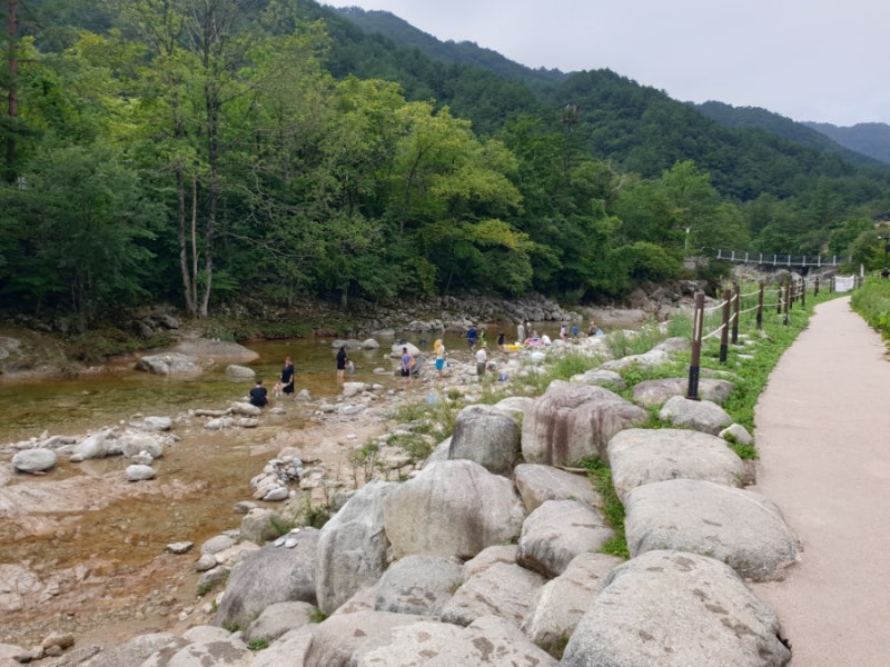 강릉 오대산 소금강산 야영장 2박3일 캠핑 야영장배치도 예약방법 소금강계곡즐기기 야영장주변 상가 강릉가볼만한곳 강릉