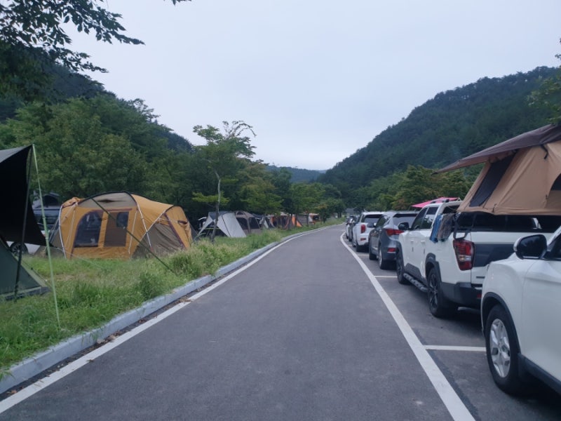강릉 오대산 소금강산 야영장 2박3일 캠핑 야영장배치도 예약방법 소금강계곡즐기기 야영장주변 상가 강릉가볼만한곳 강릉