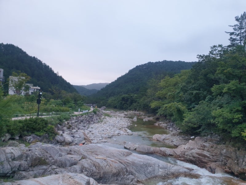 강릉 오대산 소금강산 야영장 2박3일 캠핑 야영장배치도 예약방법 소금강계곡즐기기 야영장주변 상가 강릉가볼만한곳 강릉