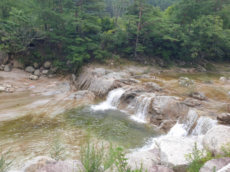 강릉 오대산 소금강산 야영장 2박3일 캠핑 야영장배치도 예약방법 소금강계곡즐기기 야영장주변 상가 강릉가볼만한곳 강릉
