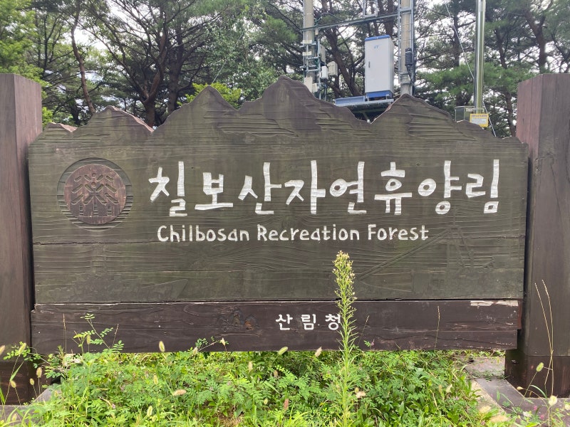 영덕 칠보산 자연휴양림숲속의집 옥잠화 산림복합체험센터 운영시간 종류 네이버 블로그