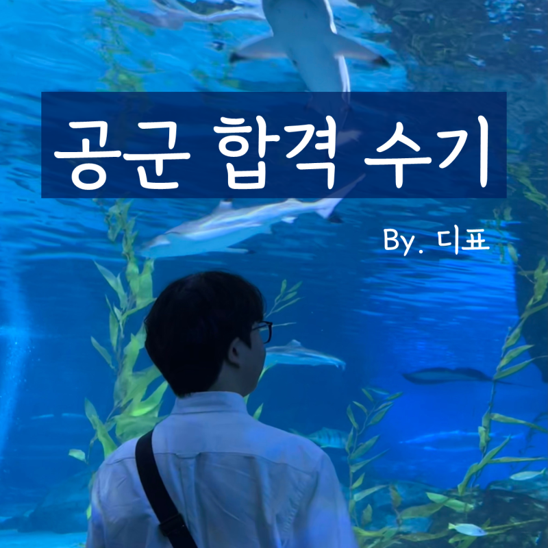 공군 일반기술병 합격 수기 237회차 852기 1차 합격을 위한 준비부터 최종 합격까지 네이버 블로그