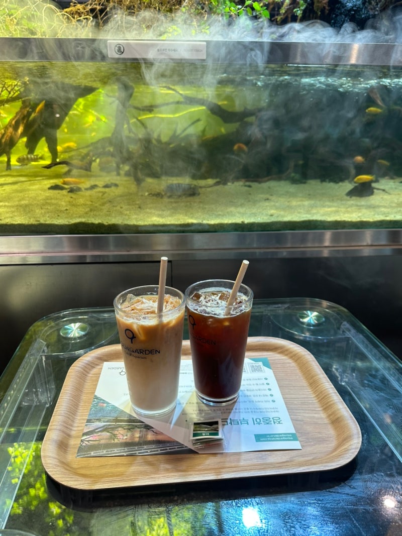 용인 수족관 카페 기흥 리빙파워센터 아쿠아가든 물고기 먹이주기 이색체험 네이버 블로그