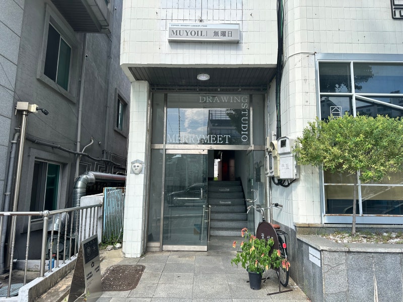 대전식물가게 대전가드닝샵 대전 갈마동 힙한 꽃집 고소한식물원 네이버 블로그