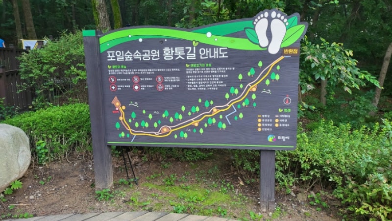 의왕 포일숲속공원 황톳길 맨발걷기 효능 효과 체험장소 네이버 블로그