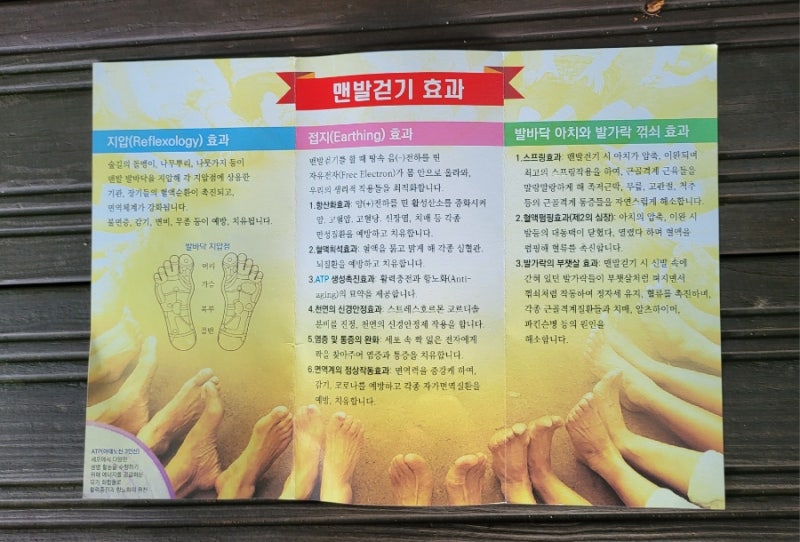 의왕 포일숲속공원 황톳길 맨발걷기 효능 효과 체험장소 네이버 블로그