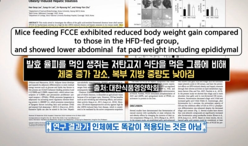 율피 효능 부작용 먹는법 ㅣ 발효율피 뱃살 체중감량 다이어트에 좋은 식품 네이버 블로그