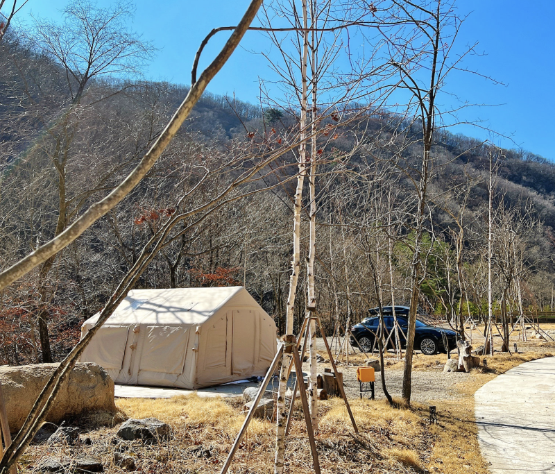 강원도 캠핑장 추천 평창 라플란드 계곡있는 개인 개별화장실 캠핑장 D1 사이트 사과가족의 첫 캠핑장소 감성텐트 에어텐트