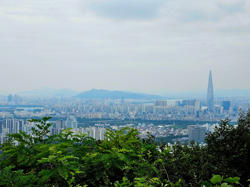 대모산 등산코스 구룡산 등산 연계 산행 및 둘레길 하산 일원역 주차정보 네이버 블로그