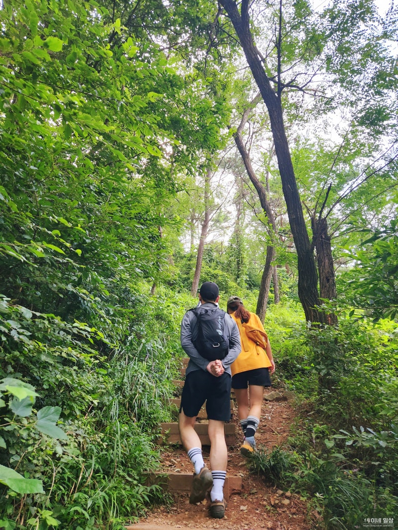부산 백양산 등산코스 선암사~애진봉~정상 최단코스 네이버 블로그