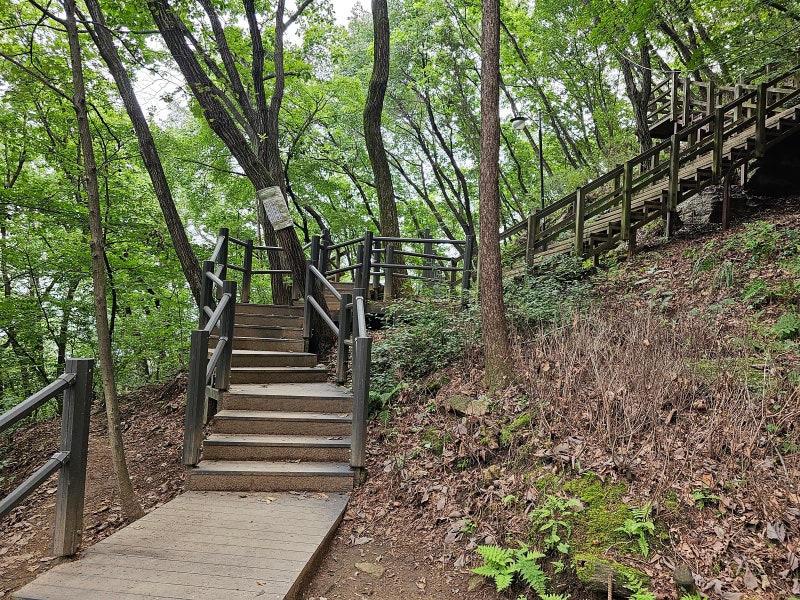 대모산 등산코스 구룡산 등산 연계 산행 및 둘레길 하산 일원역 주차정보 네이버 블로그