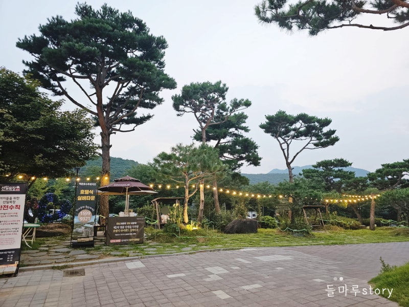 의왕 백운호수 정육식당 선일목장 푸짐한 고기 먹고 식물원 구경 네이버 블로그