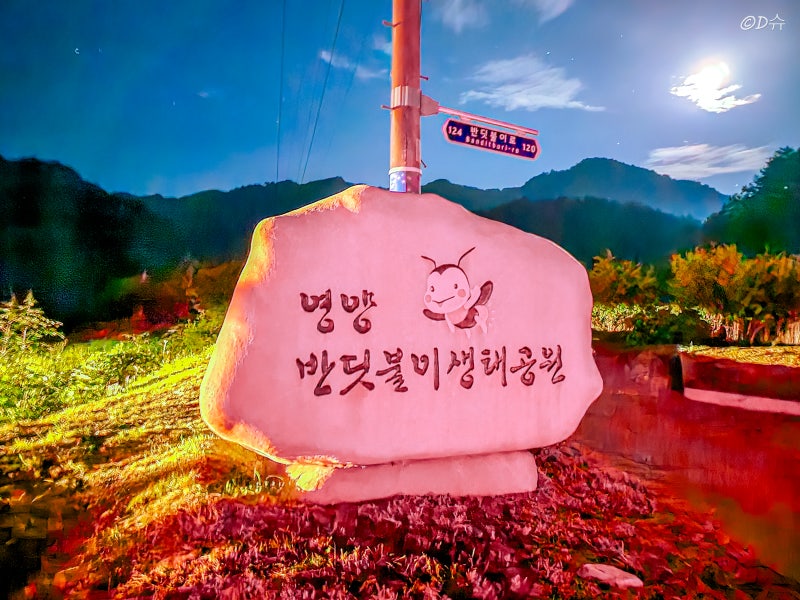 경북 영양 여행 가볼만한곳 국제밤하늘보호공원 반딧불이 천문대 등 별빛 축제 네이버 블로그