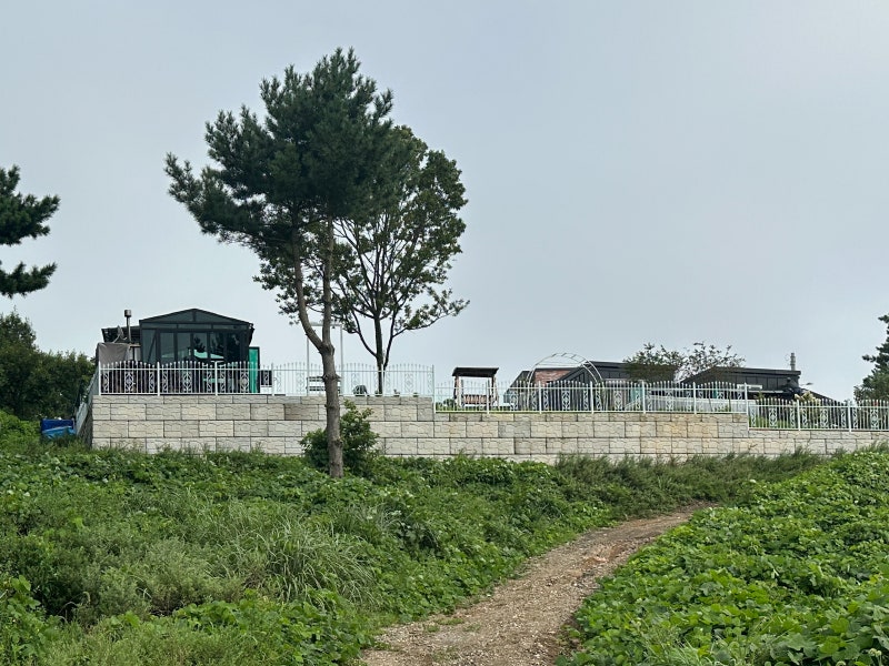 충남 서산 스크린골프 독채펜션 뷰라이브펜션 네이버 블로그