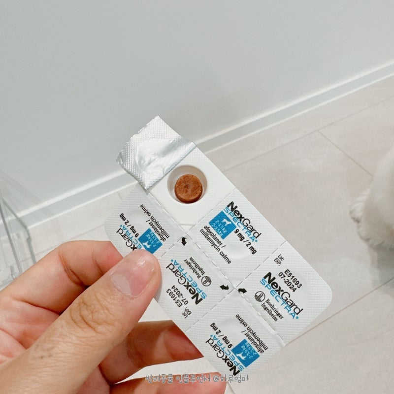 강아지 심장사상충약 내부 외부 기생충약 넥스가드 구충제 네이버 블로그