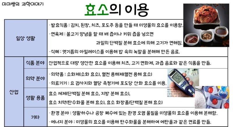 수업계획 생명 시스템에서의 화학 반응 효소 활성화 에너지 효소의 이용 등 네이버 블로그