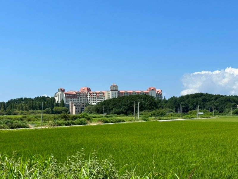 소노벨 변산 리조트 스위트 취사 파셜오션뷰 후기 네이버 블로그