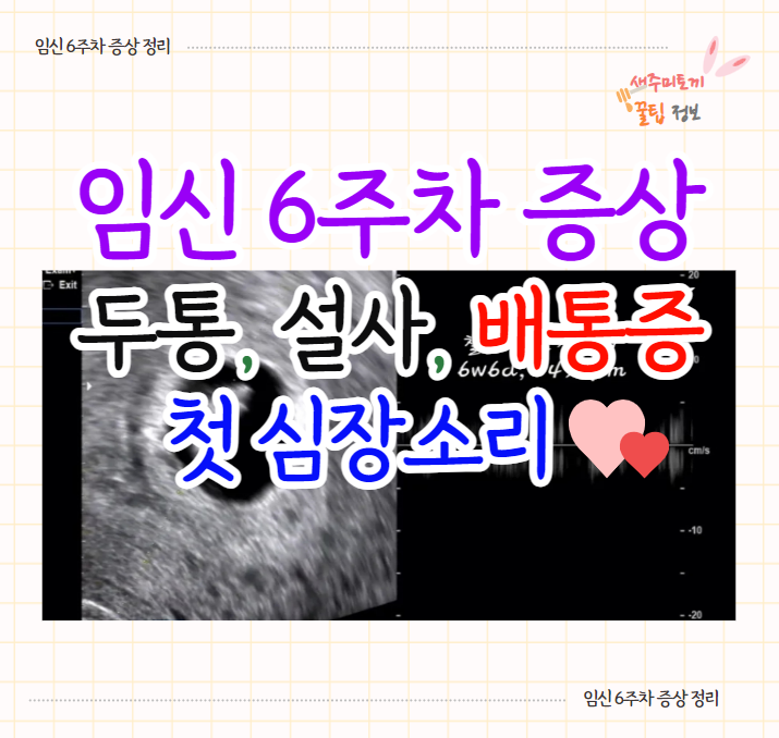 임신 6주차 증상 배통증 두통 가슴 통증 심장소리 네이버 블로그