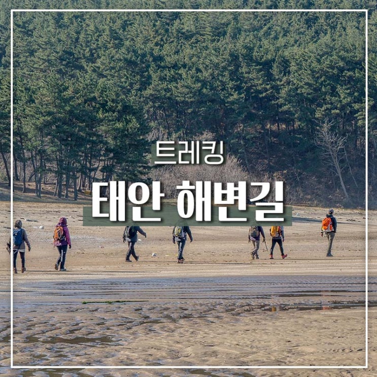충남 태안해변길 1코스 바라길 트레킹 하이킹