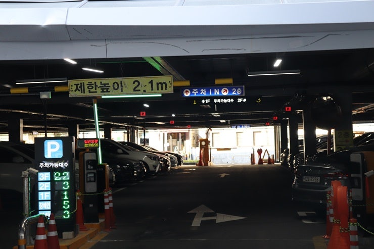 서귀포 올레시장 야시장 시간 근처 맛집 위치주차정보먹거리 네이버 블로그