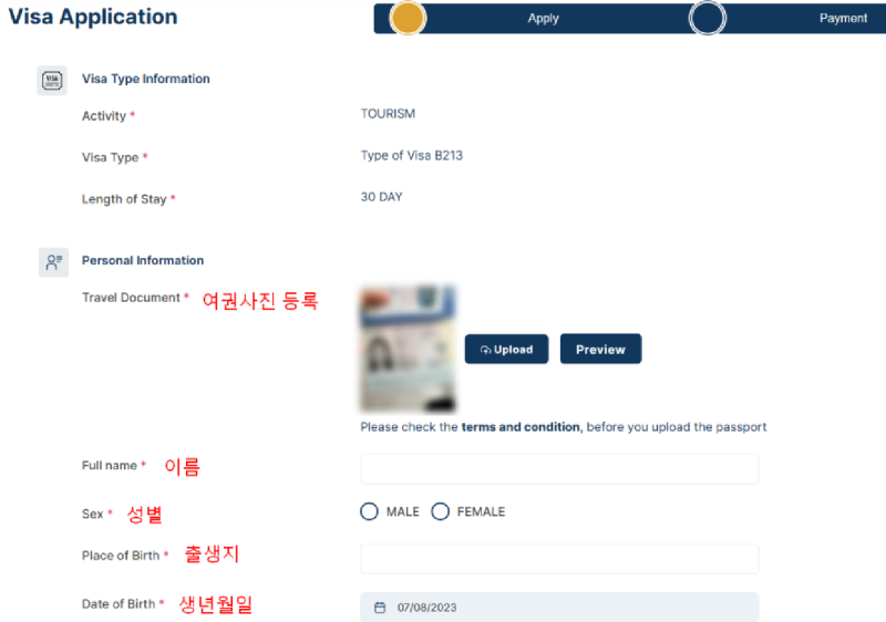 인도네시아 발리 전자 세관신고서 발리비자발리 E비자 작성방법 공유 네이버 블로그