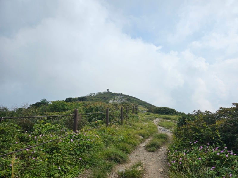 태백여행 태백산국립공원 천제단당골코스 당일치기 네이버 블로그