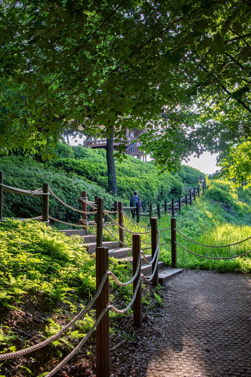 경기도 파주 가볼만한곳 심학산 절 약천사 파주 볼거리 네이버 블로그
