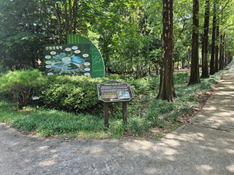 나주 가볼만한곳 전남 산림자원연구소 네이버 블로그