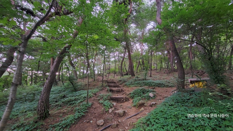 못 가보면 손해 남산 소나무숲 탐방로 가보셨나요 서울 남산 숨은 명소 즐기기 남산둘레길 남측순환로 네이버 블로그