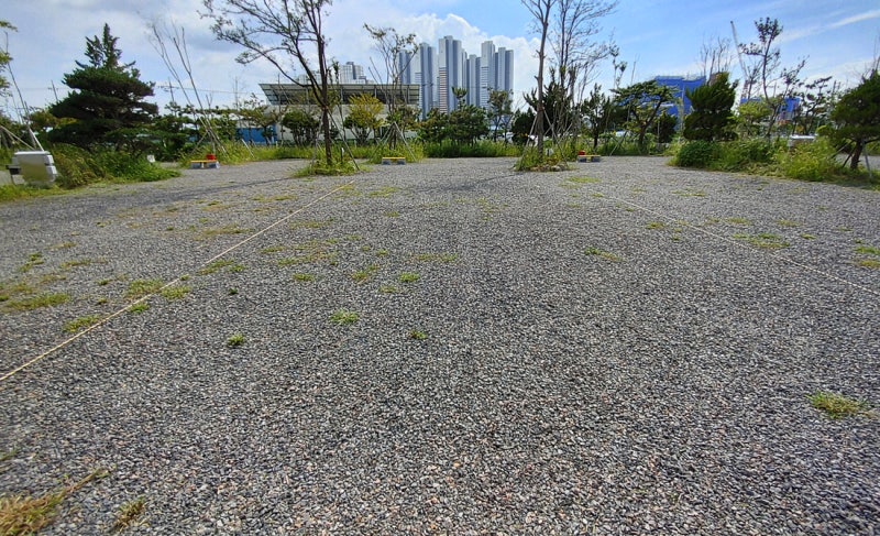 군산 캠핑장 오션뷰가 펼쳐지는 군산버드 오토캠핑장 : 네이버 블로그