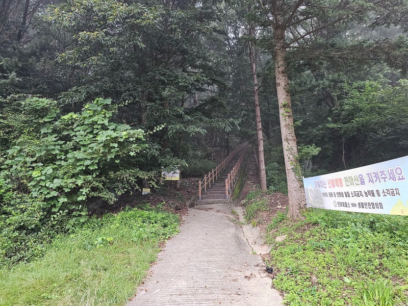천마산 등산코스 추천 정상 풍경과 운해 천마산관리소 최단코스 산행 이야기 네이버 블로그