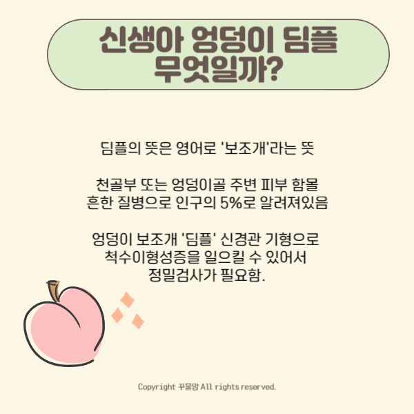 신생아 엉덩이 딤플 털 아기 꼬리뼈 초음파 경험담 네이버 블로그