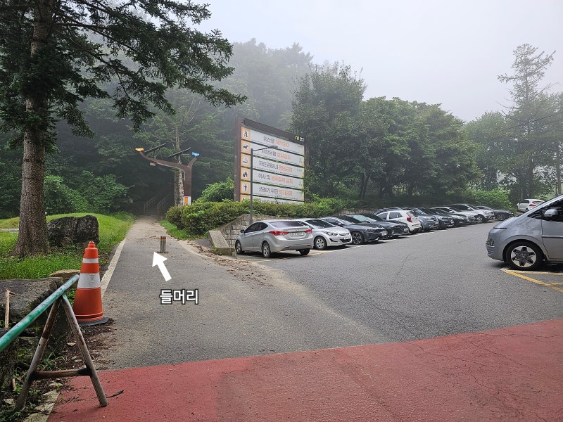 천마산 등산코스 추천 정상 풍경과 운해 천마산관리소 최단코스 산행 이야기 네이버 블로그