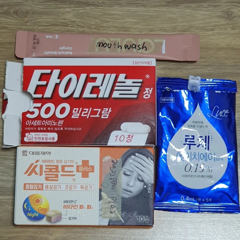 호주 시드니 여행 준비비자 발급 페리 지하철 노선표and운행시간 약 반입 입국심사 비상약 영어 이름표 등 네이버 블로그