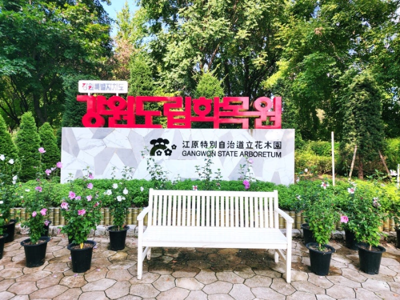 춘천여행 가볼만한곳 강원도립화목원 볼거리와 입장료 네이버 블로그