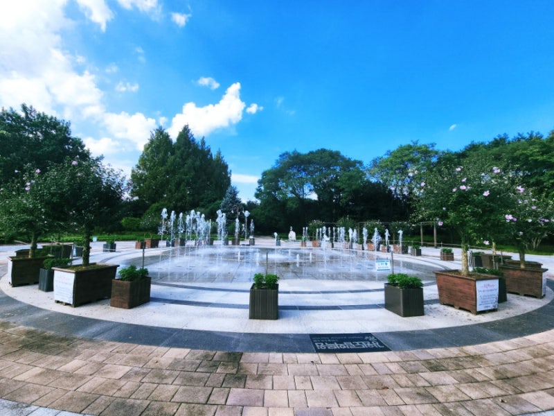 춘천여행 가볼만한곳 강원도립화목원 볼거리와 입장료 네이버 블로그