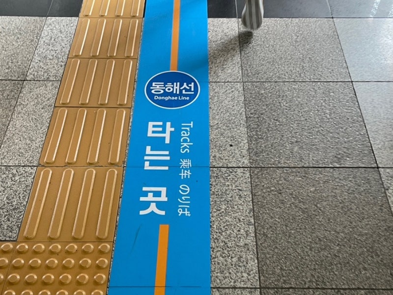 20230701기준 최신 태화강역 부전역 동해선시간표 남창역 동해선시간표 동해선노선 소요시간 네이버 블로그