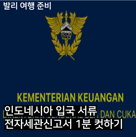 발리여행준비 인도네시아 입국서류 전자세관신고서 방법 1분만에 끝내기 네이버 블로그