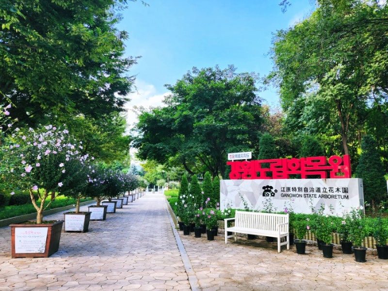 춘천여행 가볼만한곳 강원도립화목원 볼거리와 입장료 네이버 블로그