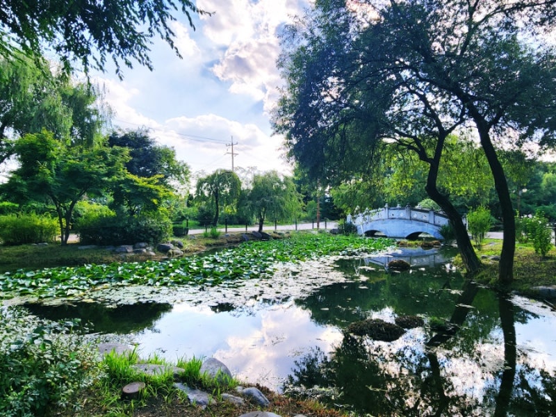 춘천여행 가볼만한곳 강원도립화목원 볼거리와 입장료 네이버 블로그