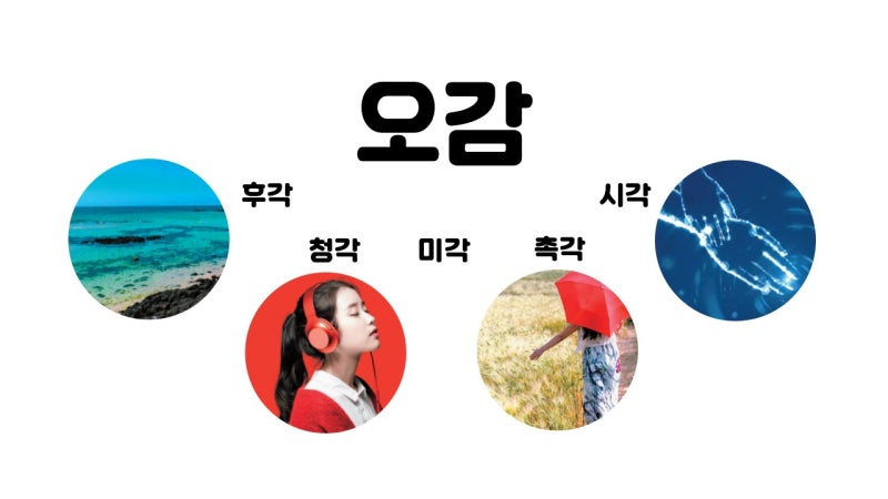 임고 미술 임용고시 수업실연 Ppt 체험 1 자신과 세계의 조화 네이버 블로그