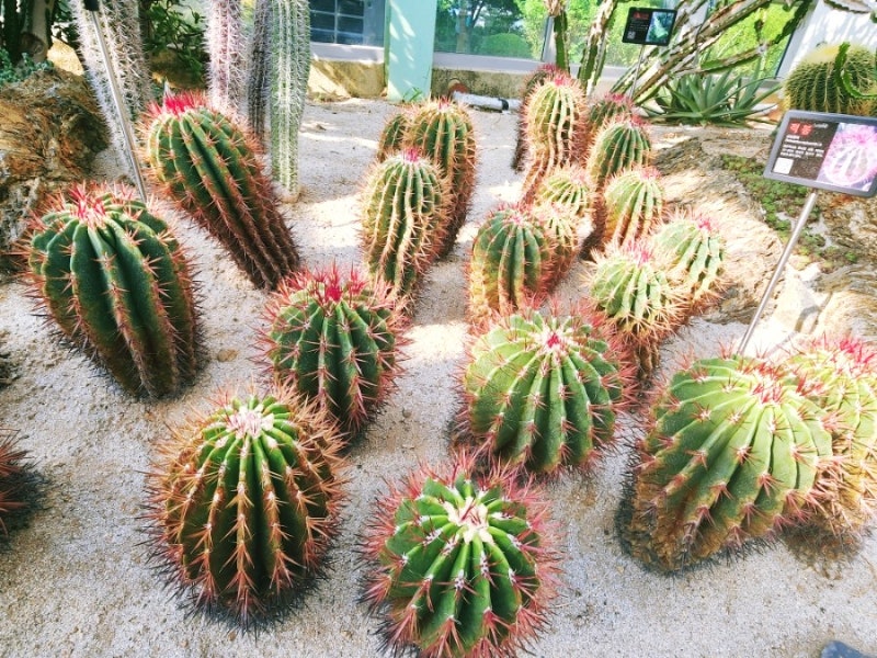 춘천여행 가볼만한곳 강원도립화목원 볼거리와 입장료 네이버 블로그